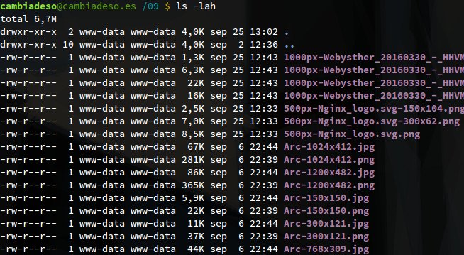 [Tip] ls - Mostrar el tamaño en KB o MB | Cambia de SO